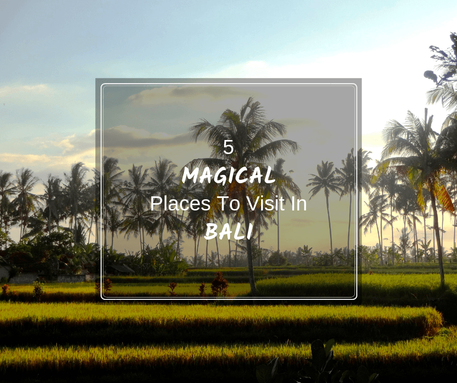 5 Magical Places To Visit In Bali - Buddy The Traveling Monkey