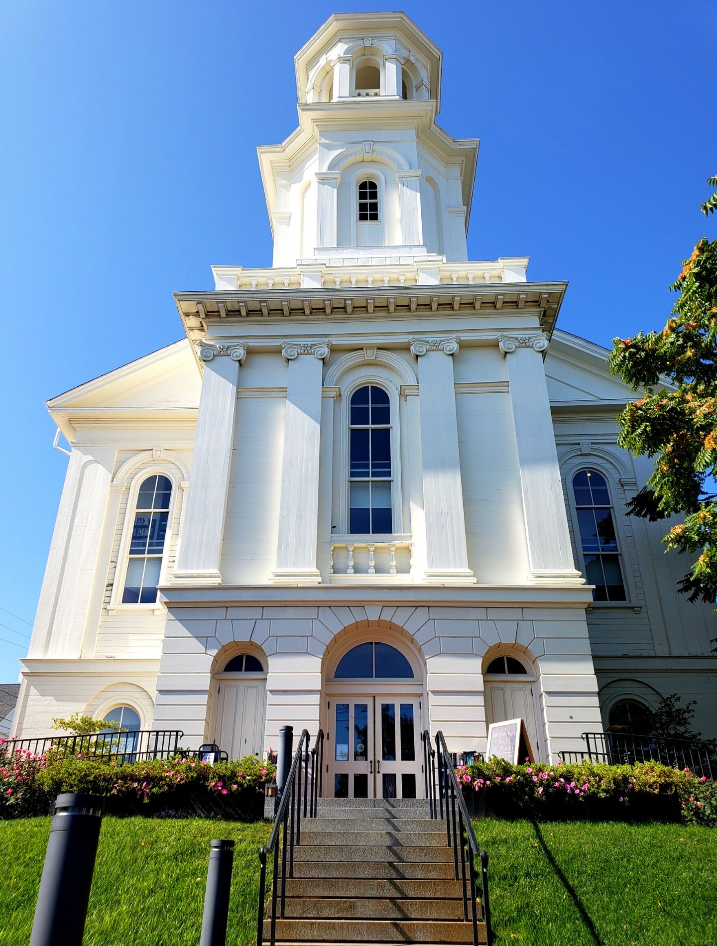 Best Things To Do In Provincetown In A Day - Buddy The Traveling Monkey