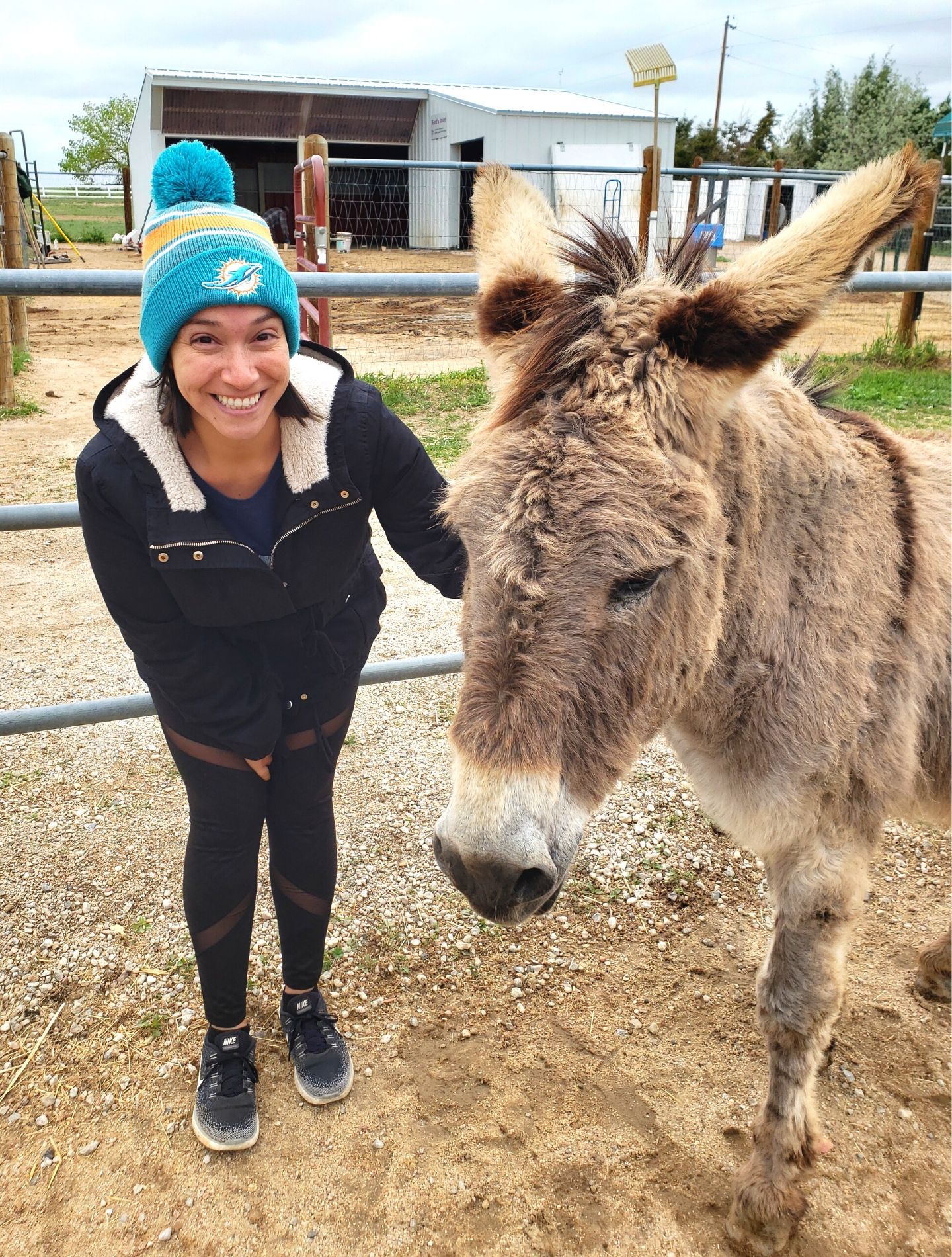 Longhopes Donkey Shelter: A Donkey Sanctuary In Colorado - Buddy The ...