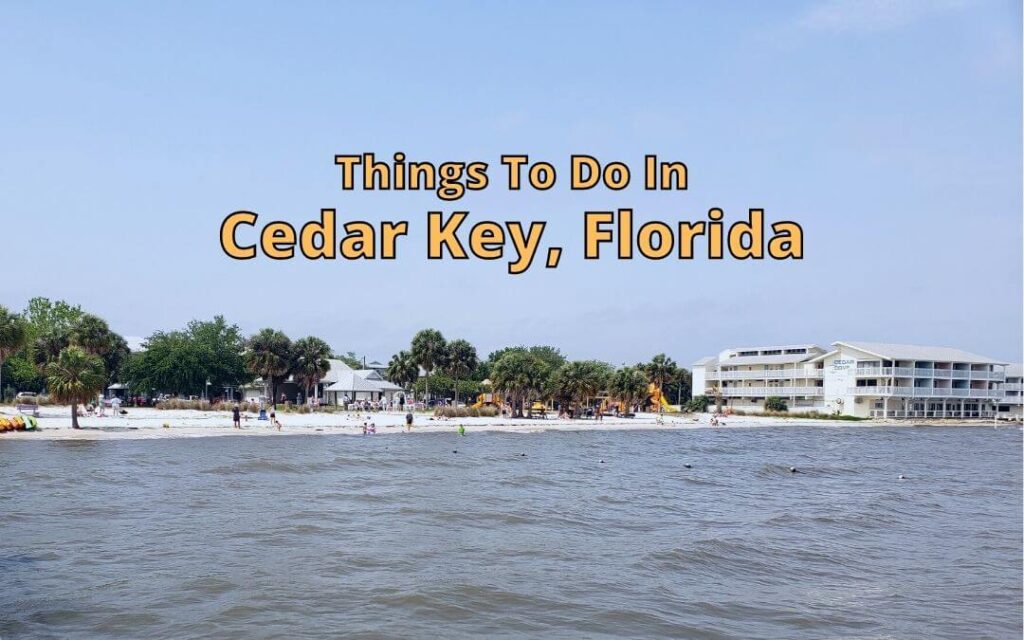 Things To Do In Cedar Key, Florida - Buddy The Traveling Monkey