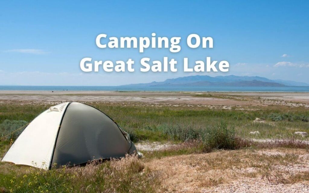 Camping On Great Salt Lake - Buddy The Traveling Monkey