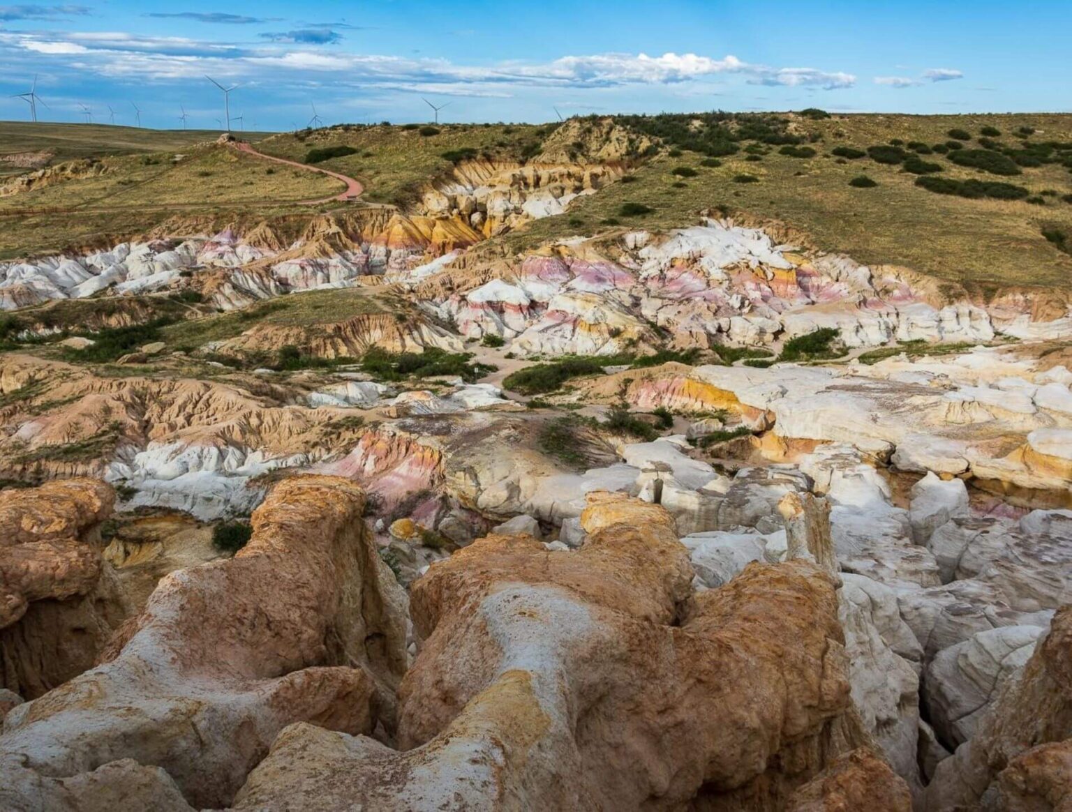 The Eastern Plains Of Colorado - Buddy The Traveling Monkey