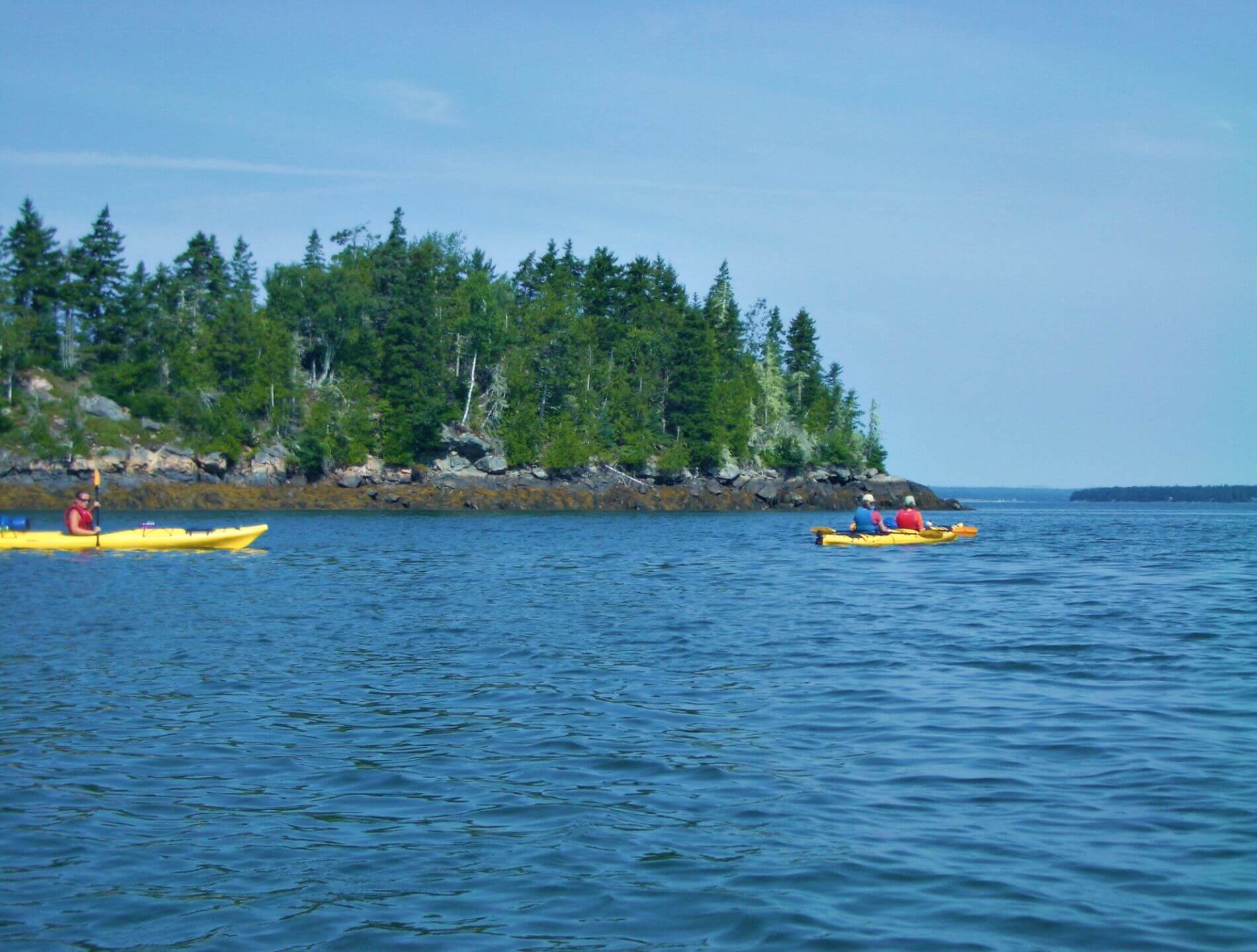 Best Kayaking Trips In The US - Buddy The Traveling Monkey