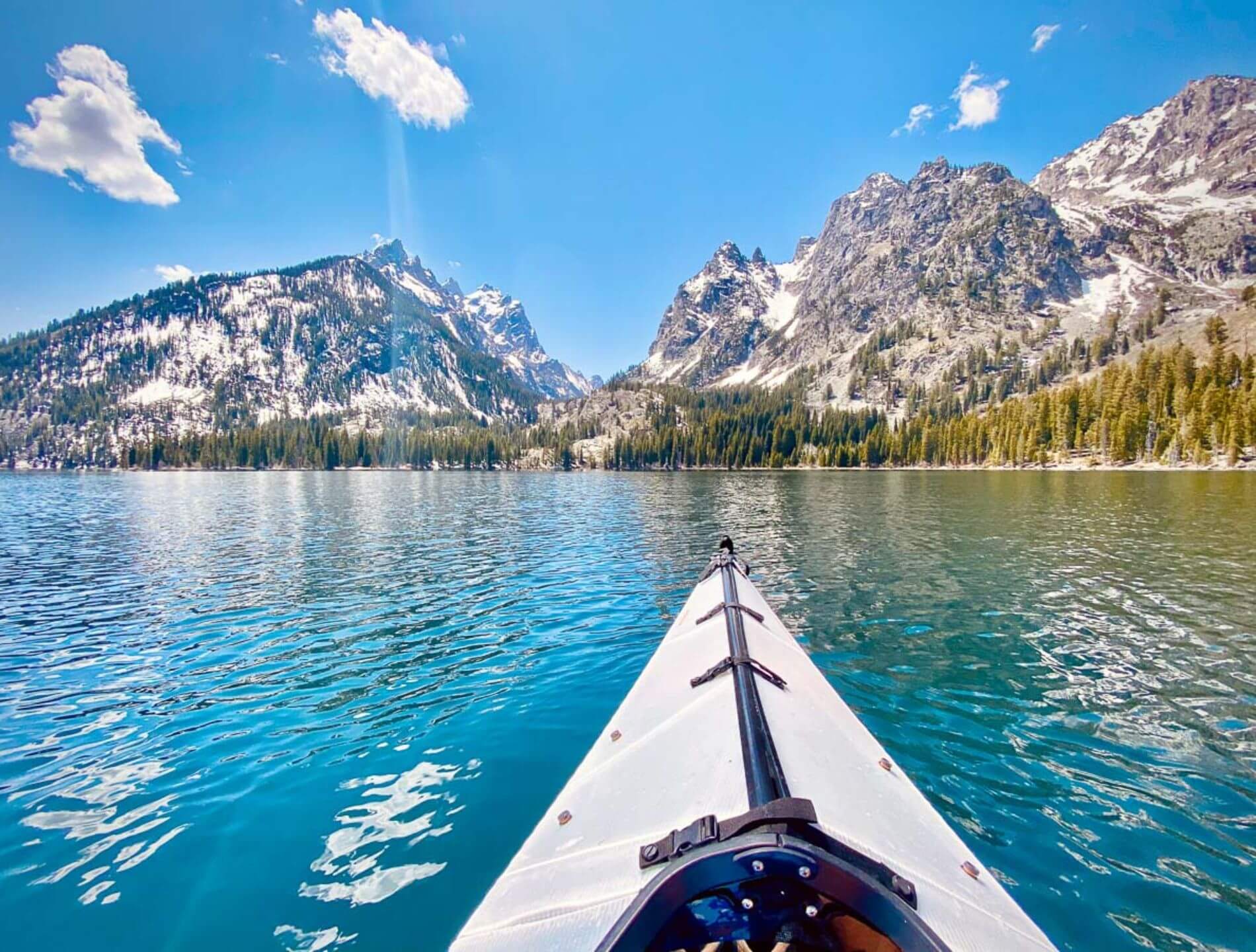 Best Kayaking Trips In The US - Buddy The Traveling Monkey