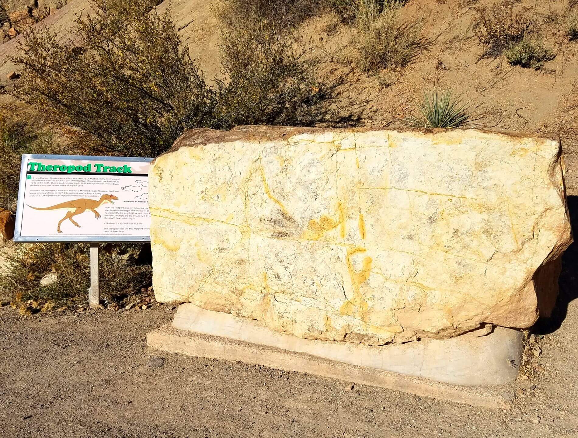 A Visit To Dinosaur Ridge In Morrison, Colorado - Buddy The Traveling ...