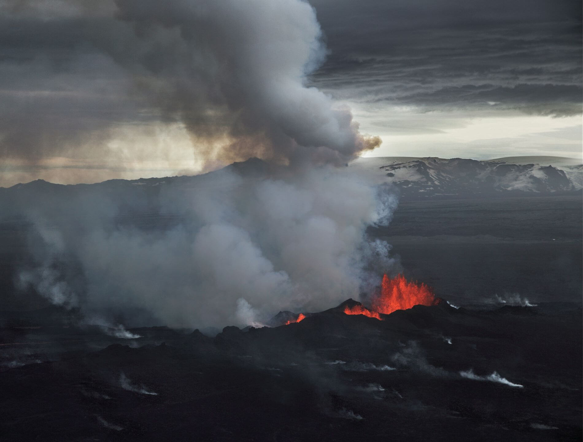 Surviving Natural Disasters While On Vacation - Buddy The Traveling Monkey